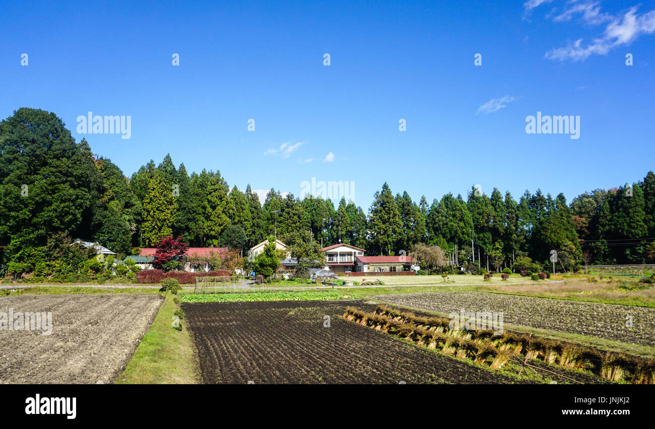 Small village with plantation at sunny day in Nikko, Japan. Nikko is a ...