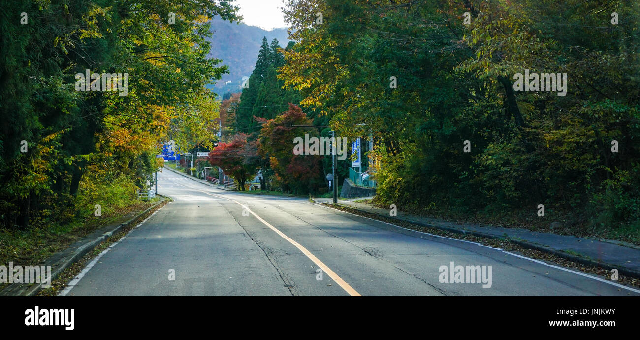 Nikko, Japan - Nov 3, 2014. Mountain road with many trees in Nikko ...