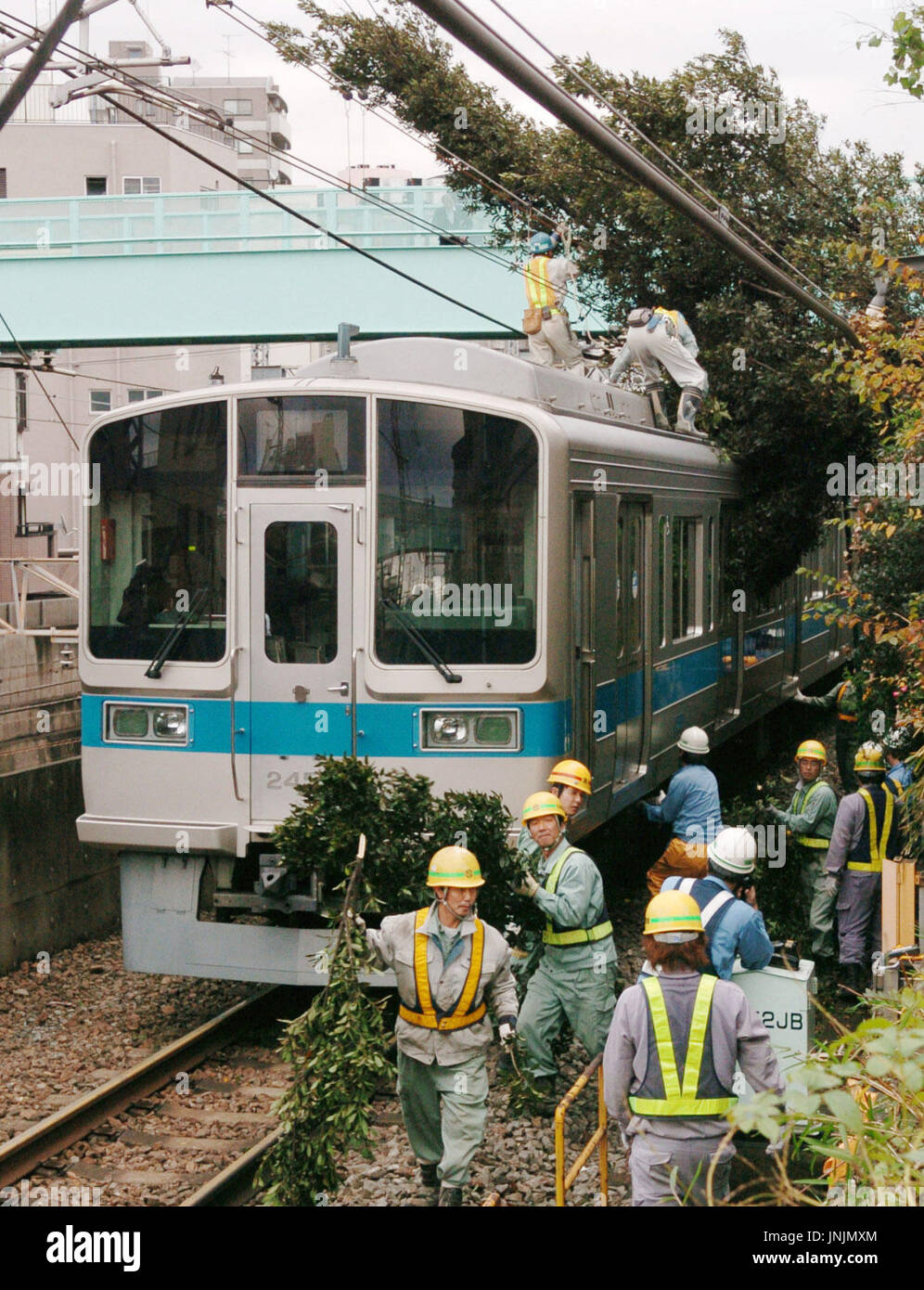 TOKYO, Japan - Workers try to remove the tree that fell on a train of ...