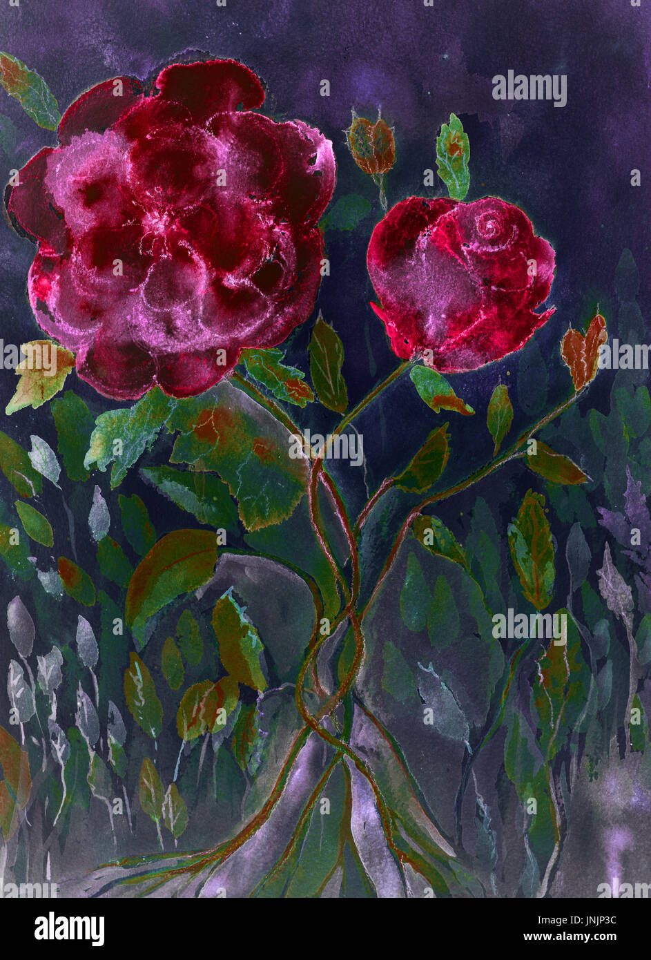 Roses popping out of a night sky. The dabbing technique near the edges ...