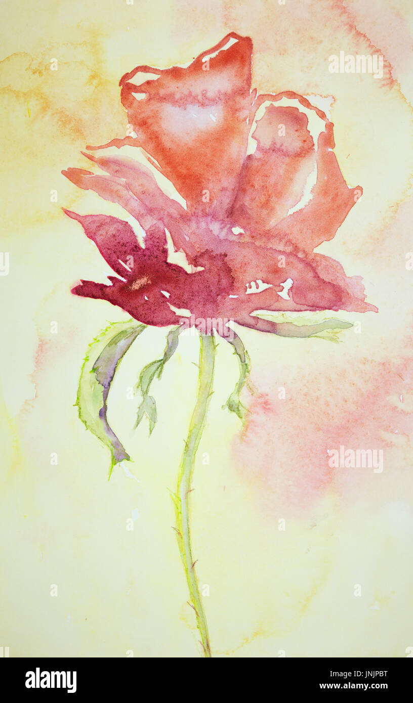 Yellow rose with pink edges hi-res stock photography and images - Alamy