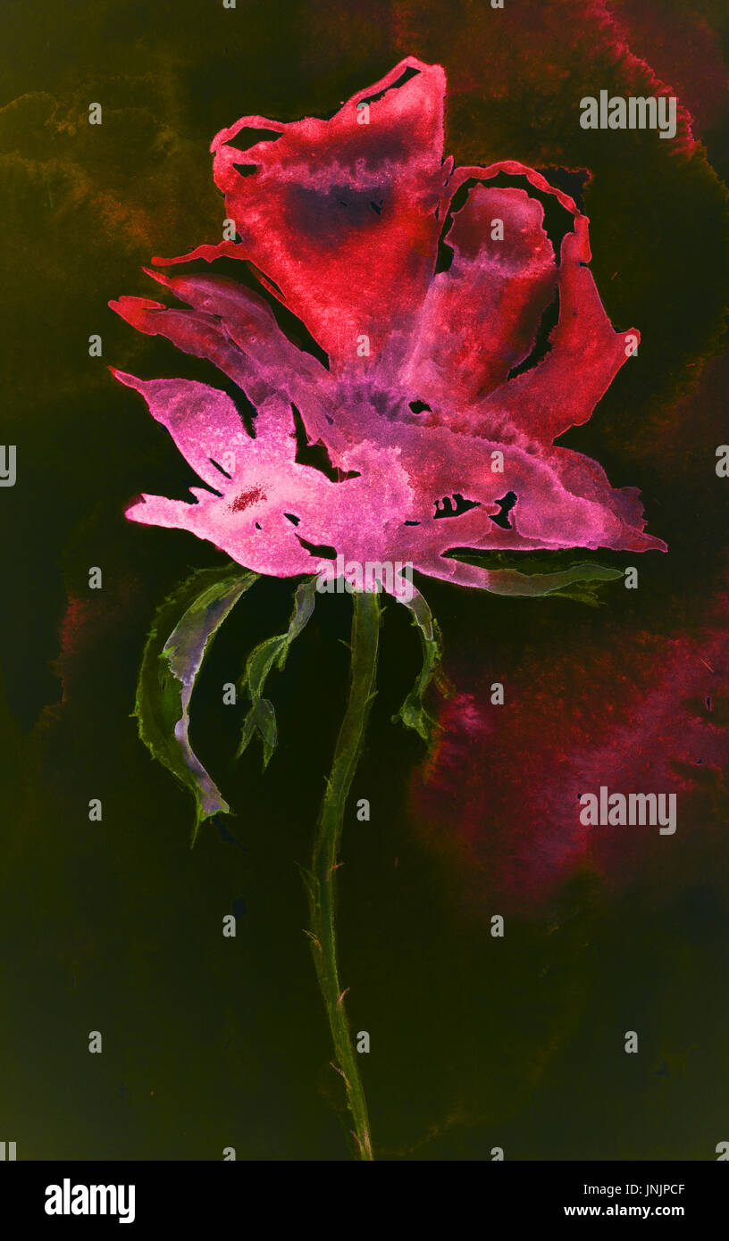 Rose texture night hi-res stock photography and images - Alamy