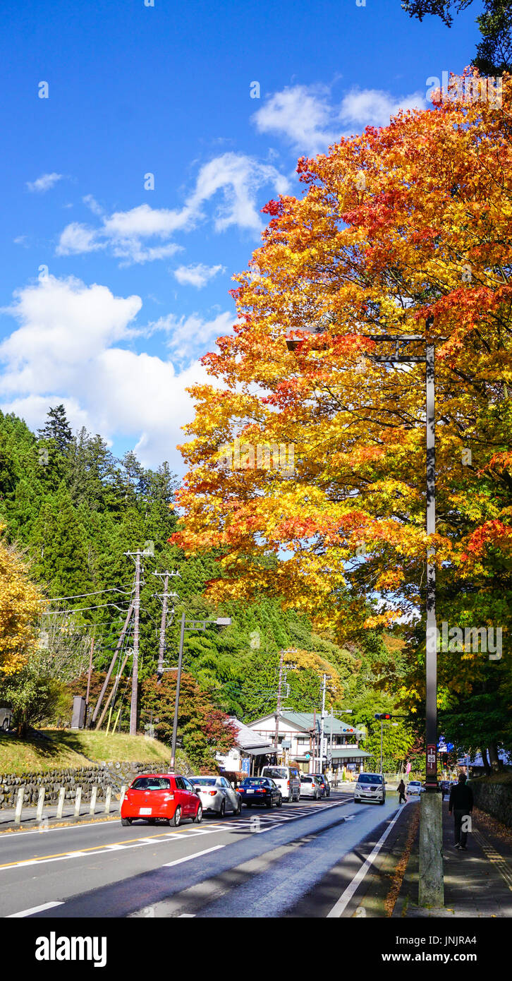 Nikko, Japan - Nov 3, 2014. Cars run on mountain road in Nikko, Japan ...