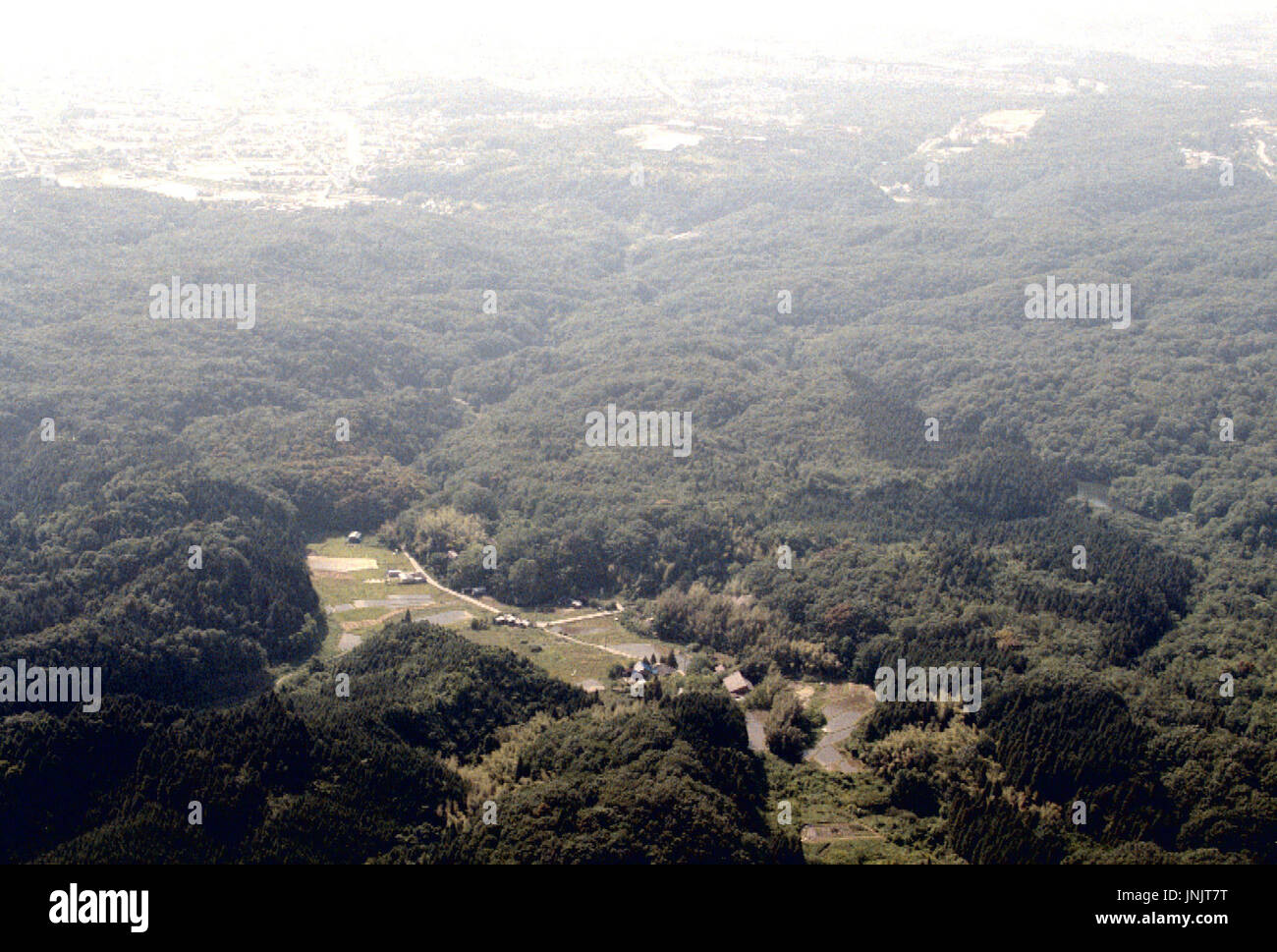 NAGOYA, Japan - An aerial view of the Kaisho forest, one of Aichi ...