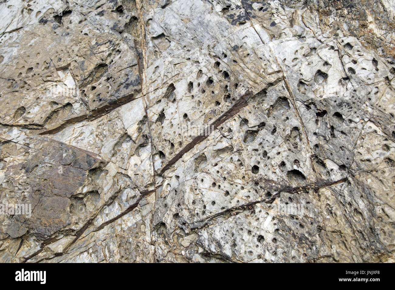 Pitted stone texture hi-res stock photography and images - Alamy