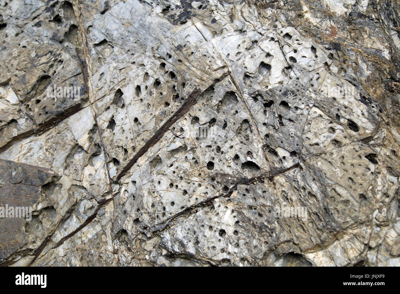 Pitted rocks hi-res stock photography and images - Alamy