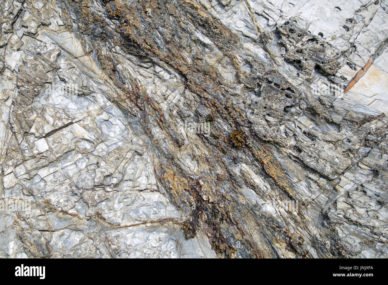 Pitted Stone Texture High Resolution Stock Photography and Images - Alamy