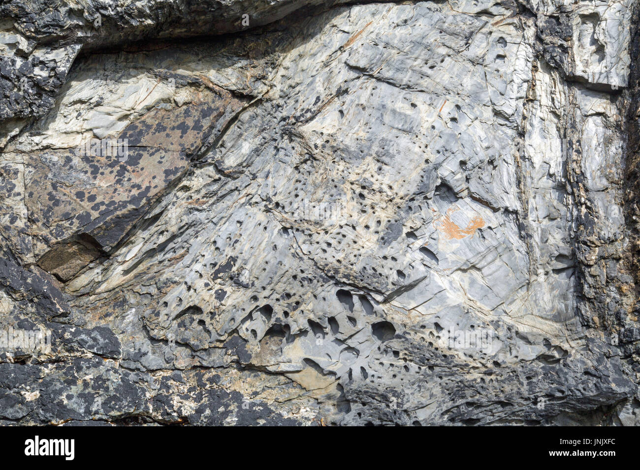 Pitted stone texture hi-res stock photography and images - Alamy
