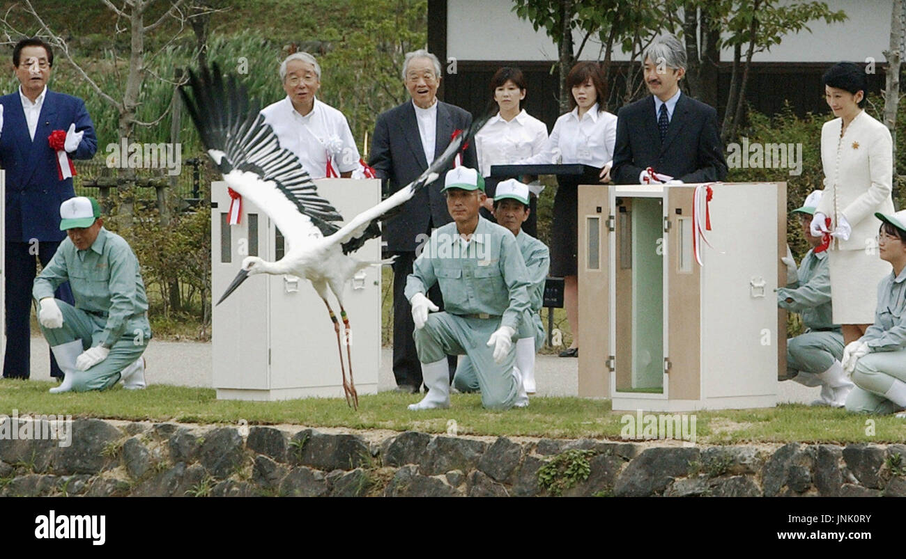 TOYOOKA, Japan - An artificially bred white oriental stork is released ...