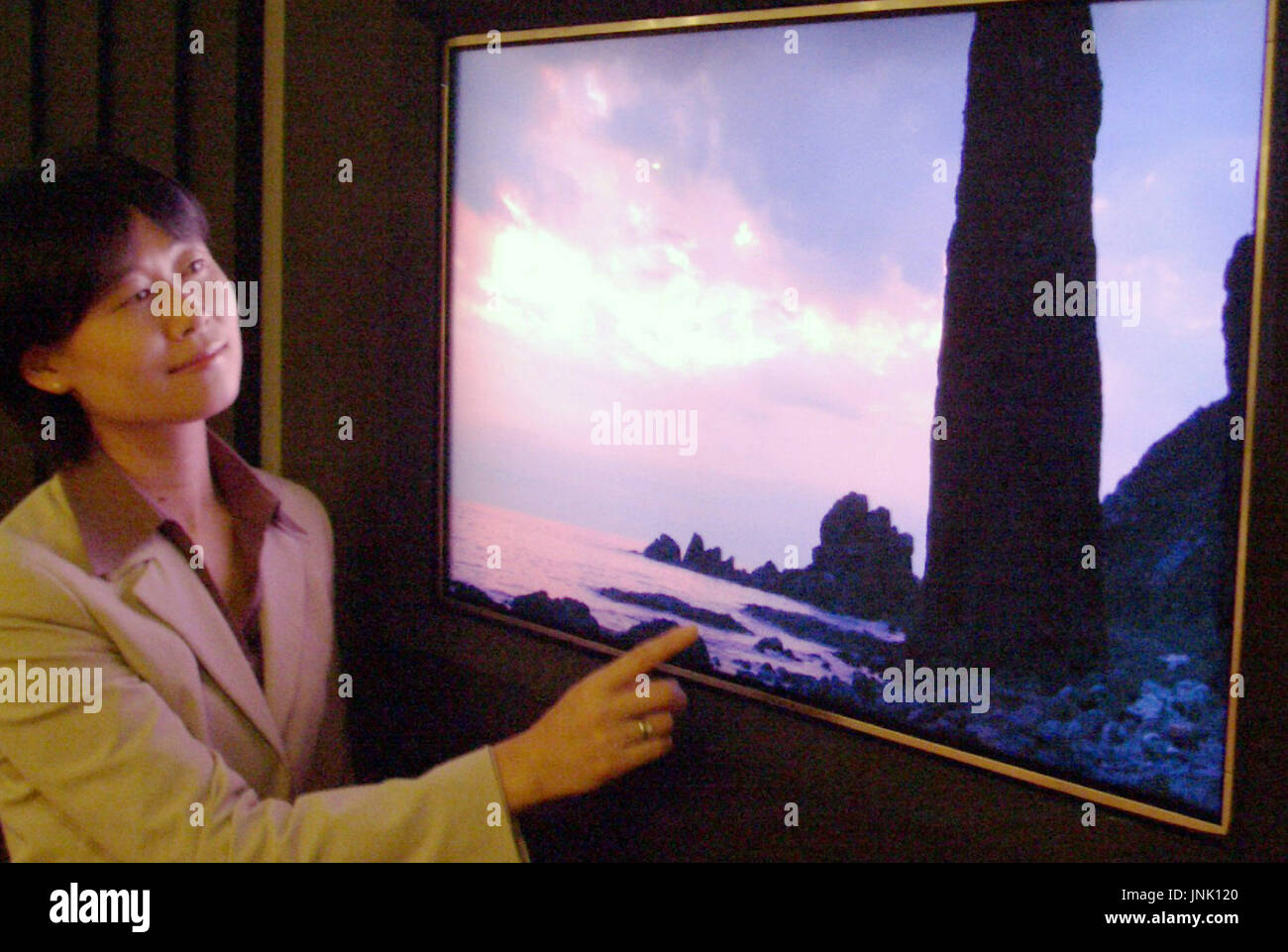 OSAKA, Japan - Sharp Corp. has developed a liquid crystal display ...