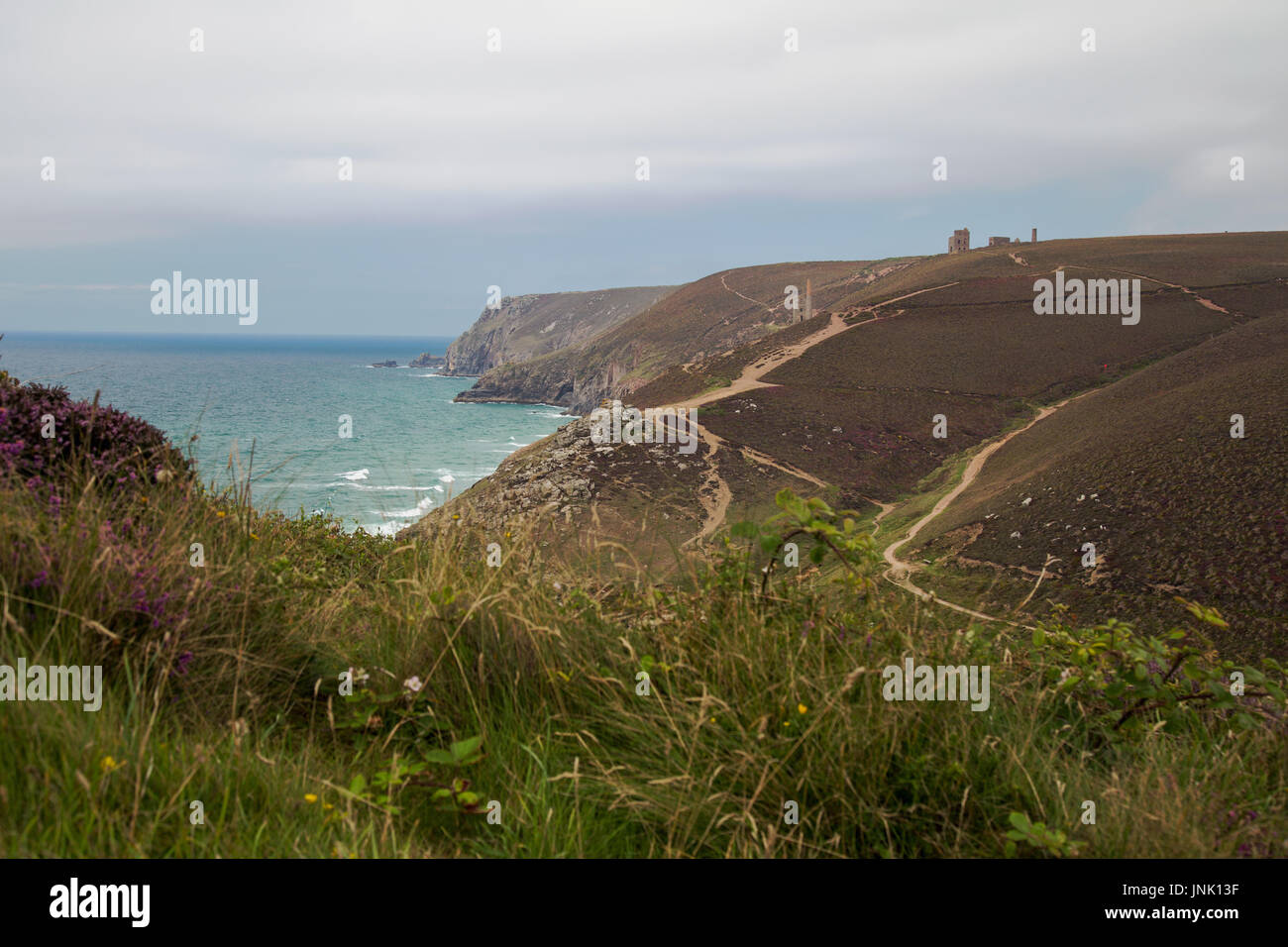 Cornish heather landscape near the Atlantic Ocean Stock Photo - Alamy