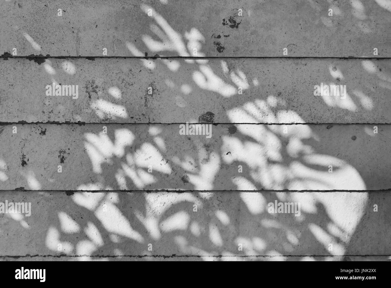 shadow of tree on raw concrete wall with wooden formwork texture Stock ...