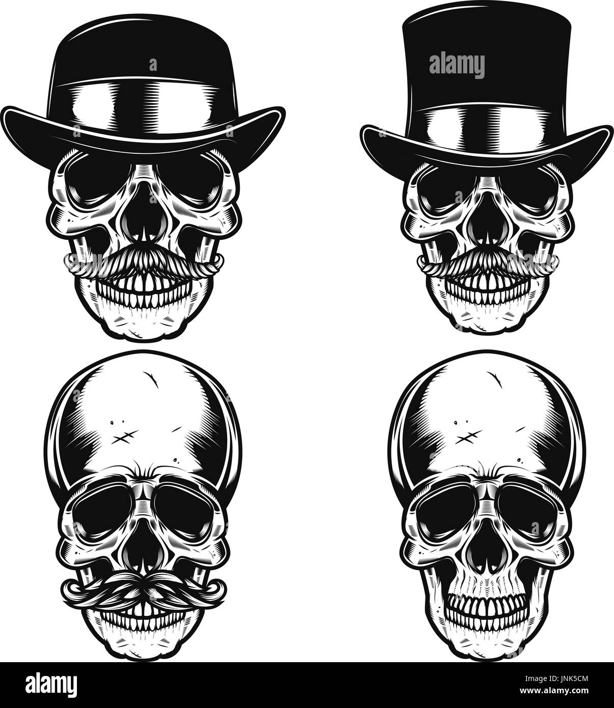 Whisker illustration anatomy hi-res stock photography and images - Alamy