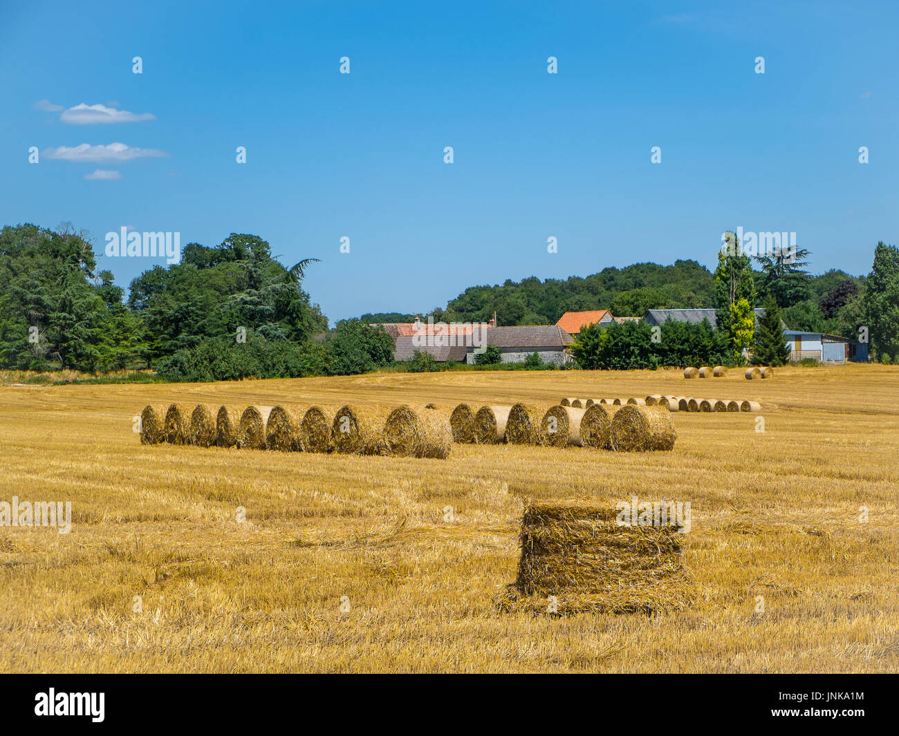 Round straw bales on farmland, Martizay, France Stock Photo - Alamy