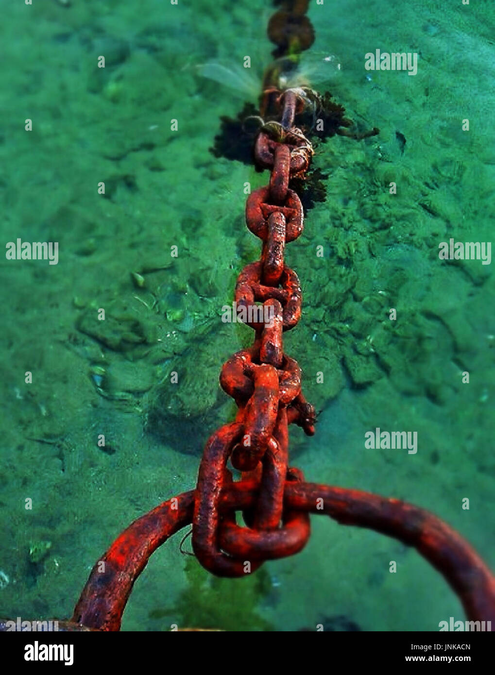 Anchor Chain Underwater Stock Photos & Anchor Chain Underwater Stock ...