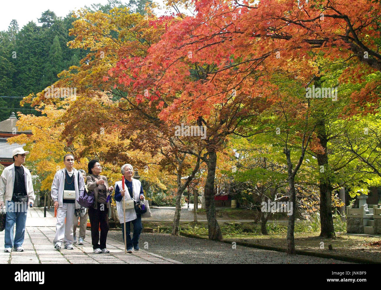 KOYA, Japan - Leaves begin to turn red and yellow on Mt. Koya in ...