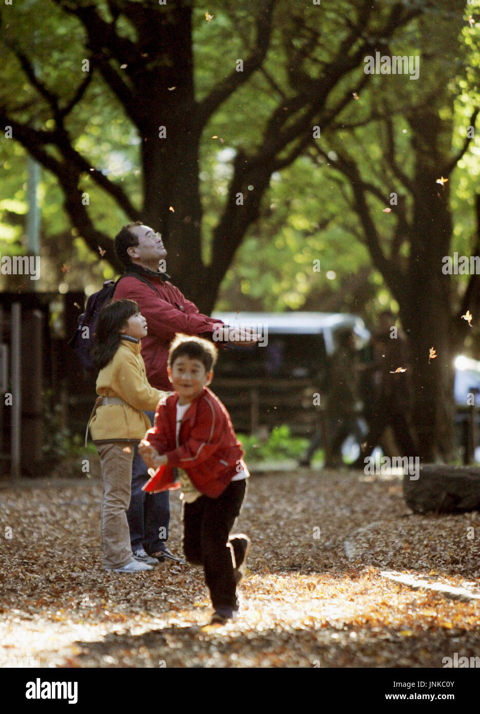 TOKYO, Japan - A father and his children try to catch falling leaves in ...