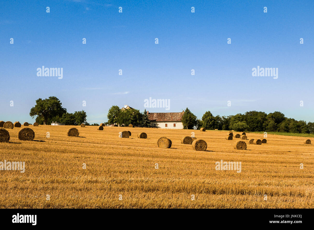 Round bales of corn chaff on farmland - Martizay, France Stock Photo ...