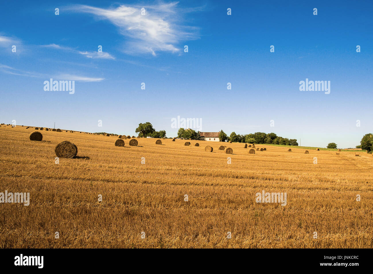Chaff wheat hi-res stock photography and images - Alamy