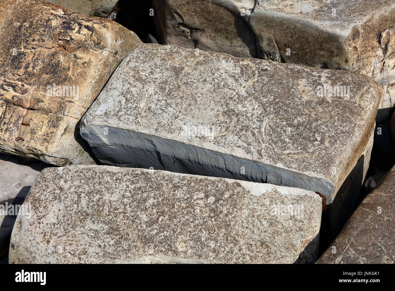 Massive limestone block recently fractured showing internal structure ...