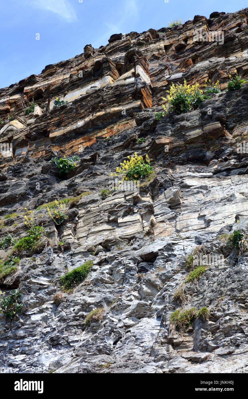 Geological cliff structures with limestone and soft crumbling oil ...
