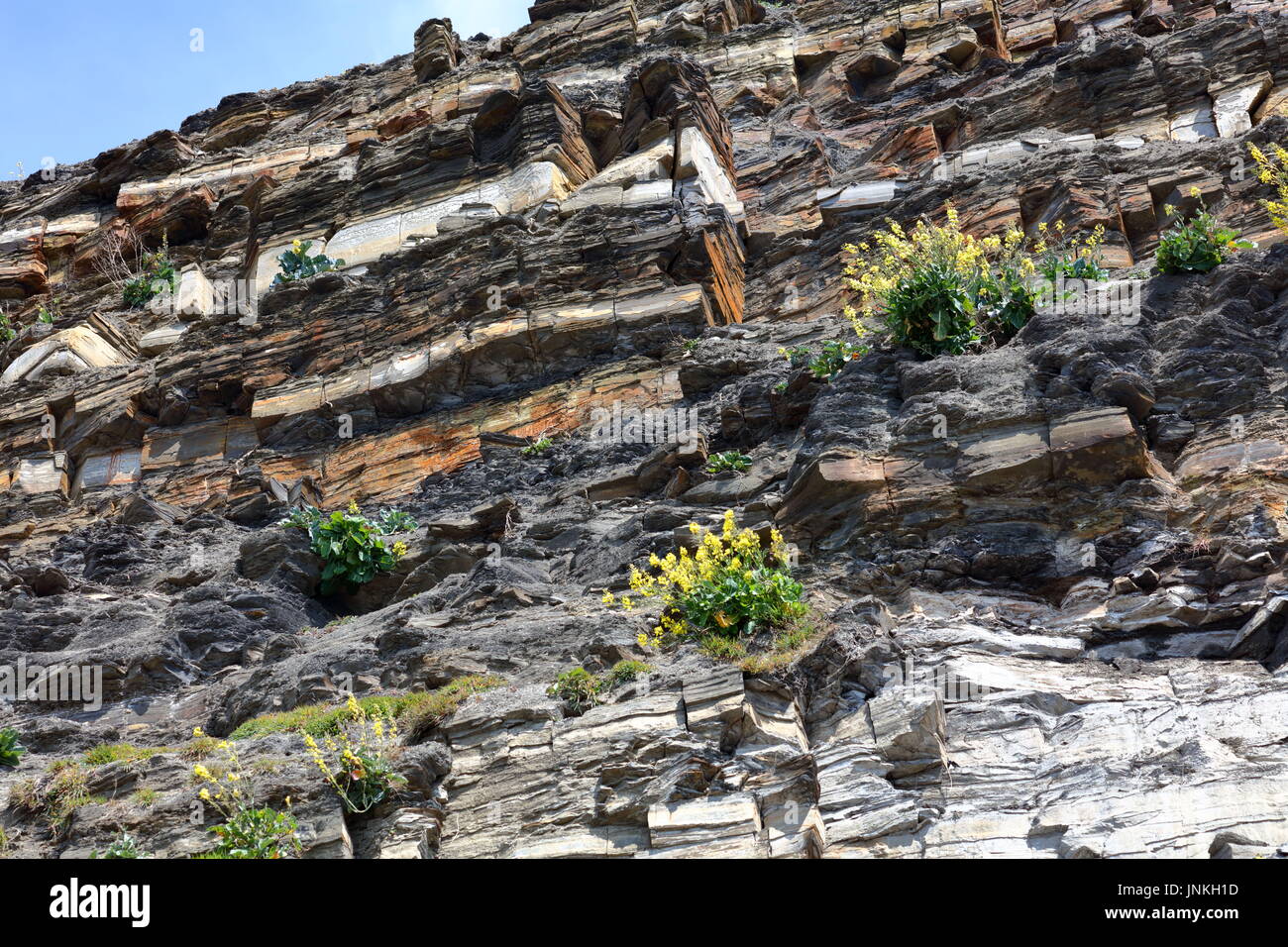 Geological cliff structures with limestone and soft crumbling oil ...
