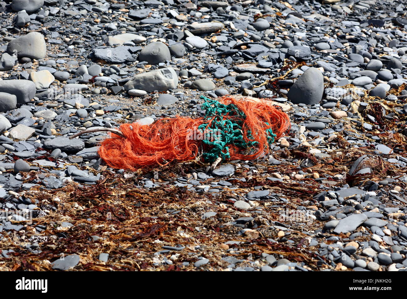 Brightly coloured discarded fishing gear washed ashore amidst kelp ...