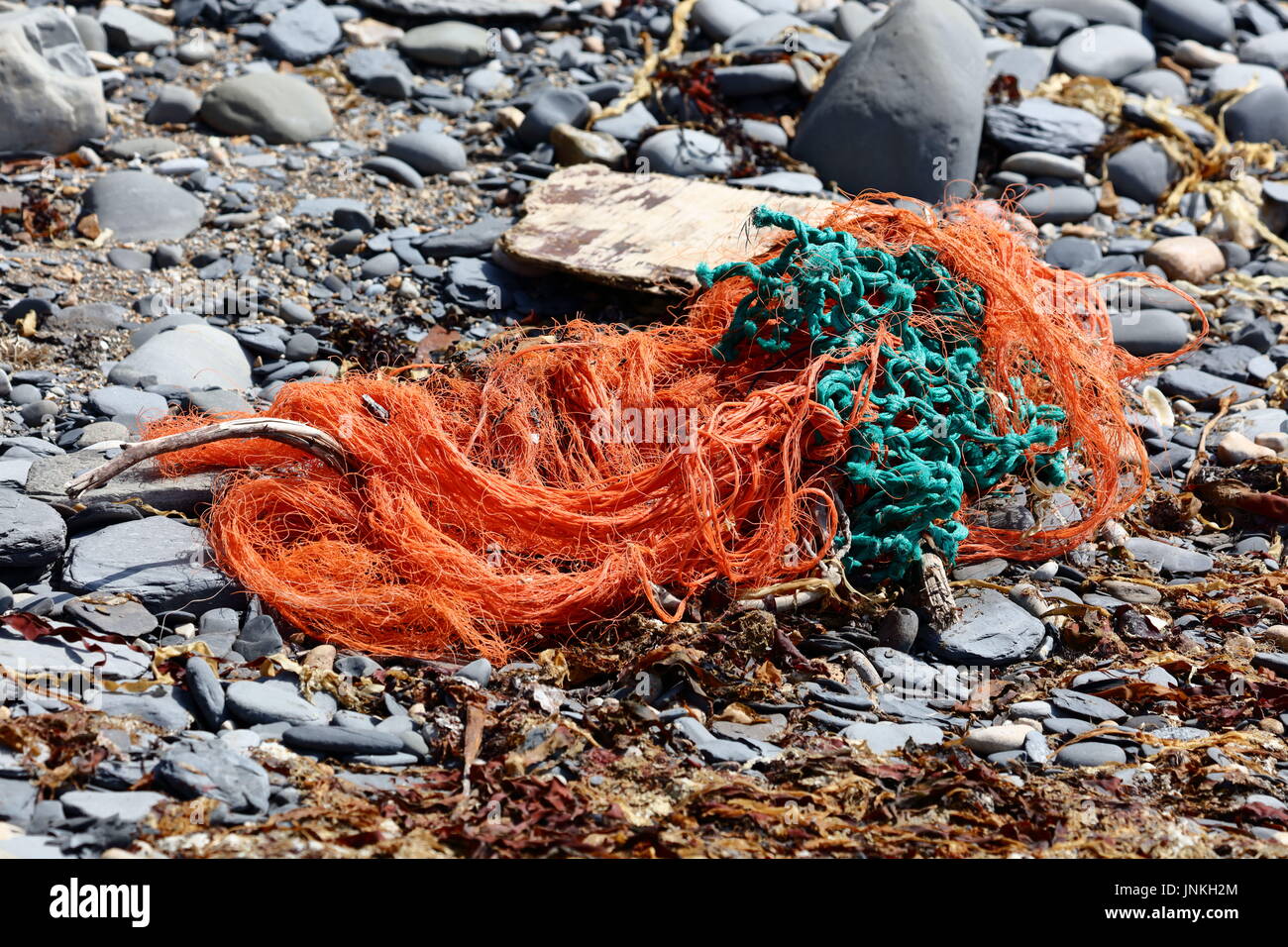 Brightly coloured discarded fishing gear washed ashore amidst kelp ...