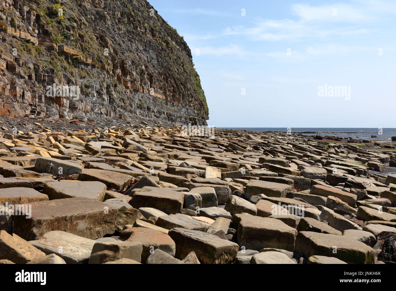 Oil bearing shale cliff face of Jurassic Coast and shoreline strewn ...