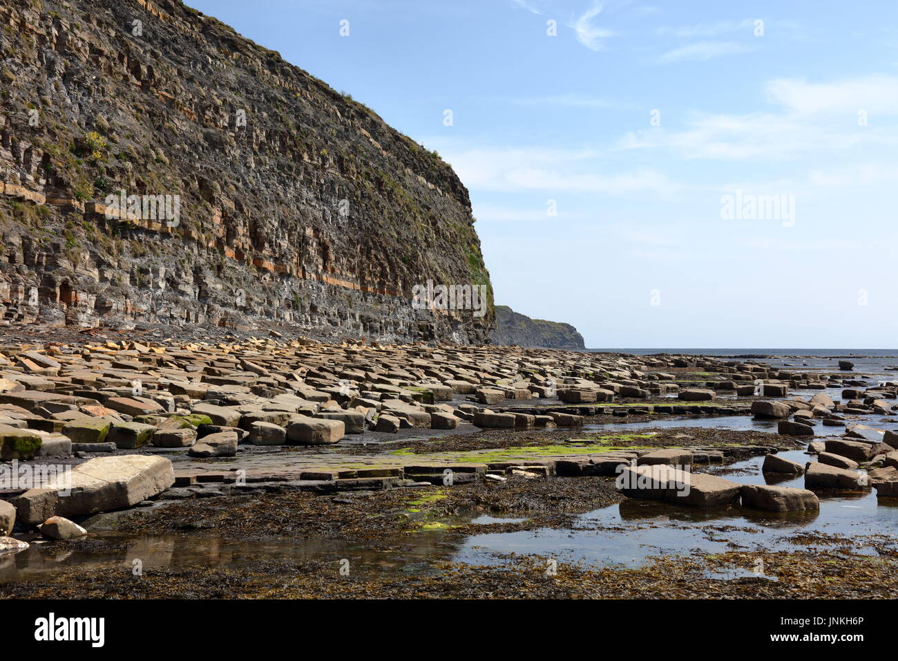 Oil bearing shale cliff face of Jurassic Coast and shoreline strewn ...