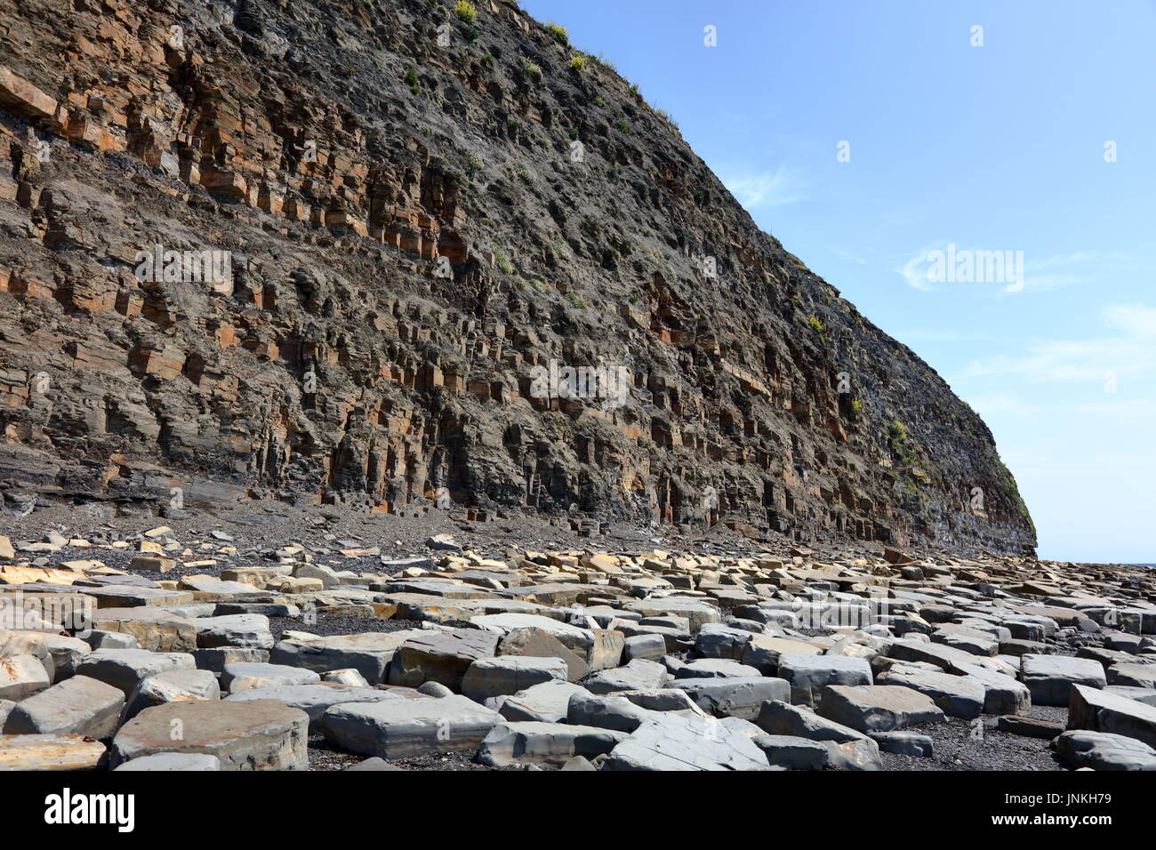 Oil bearing shale cliff face of Jurassic Coast and shoreline strewn ...