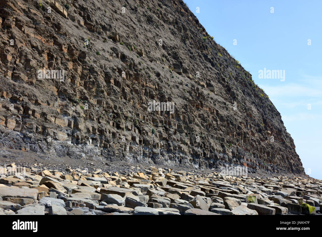 Oil bearing shale cliff face of Jurassic Coast and shoreline strewn ...