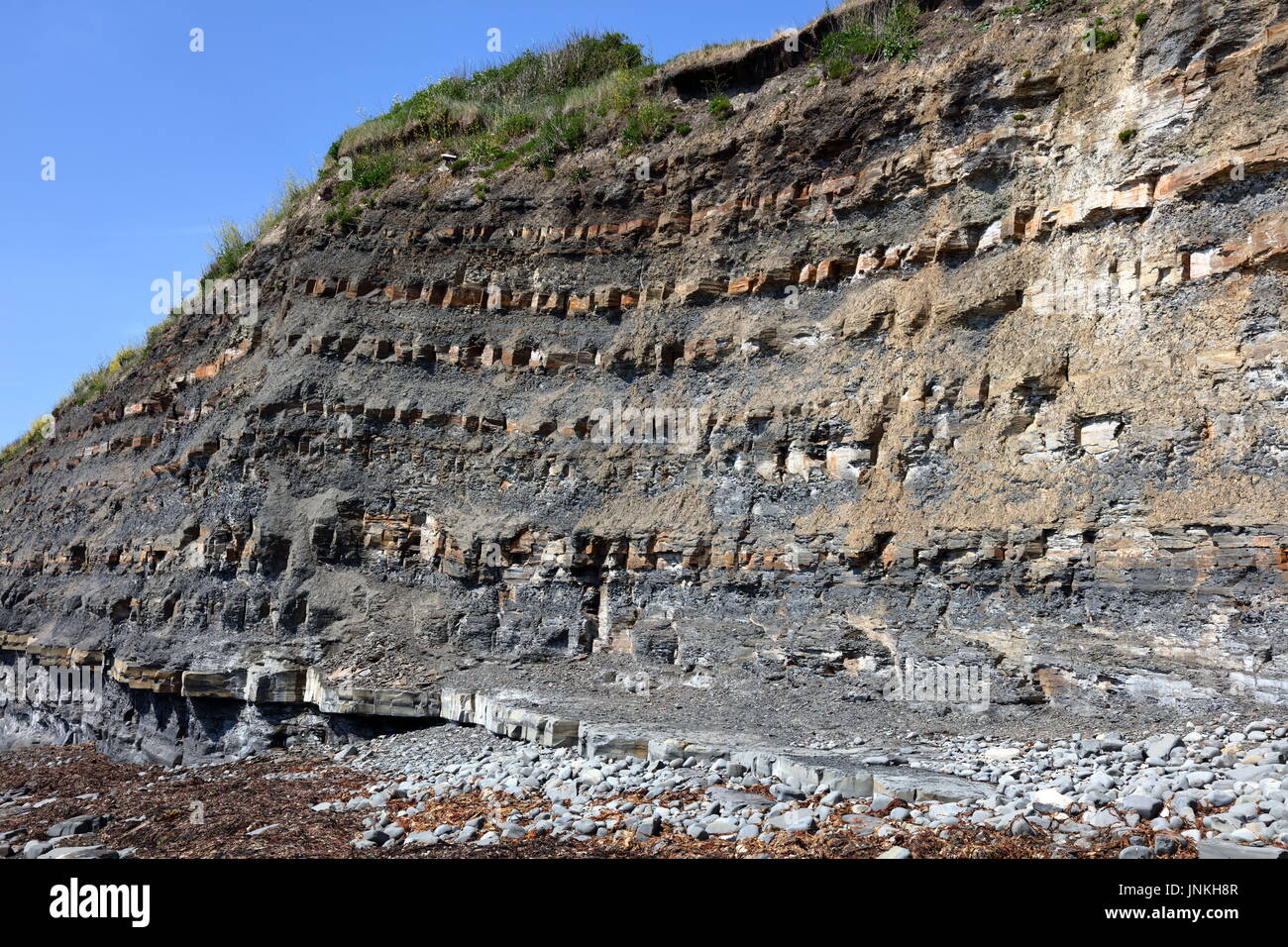 Oil bearing shale cliff face of Jurassic Coast and shoreline at ...