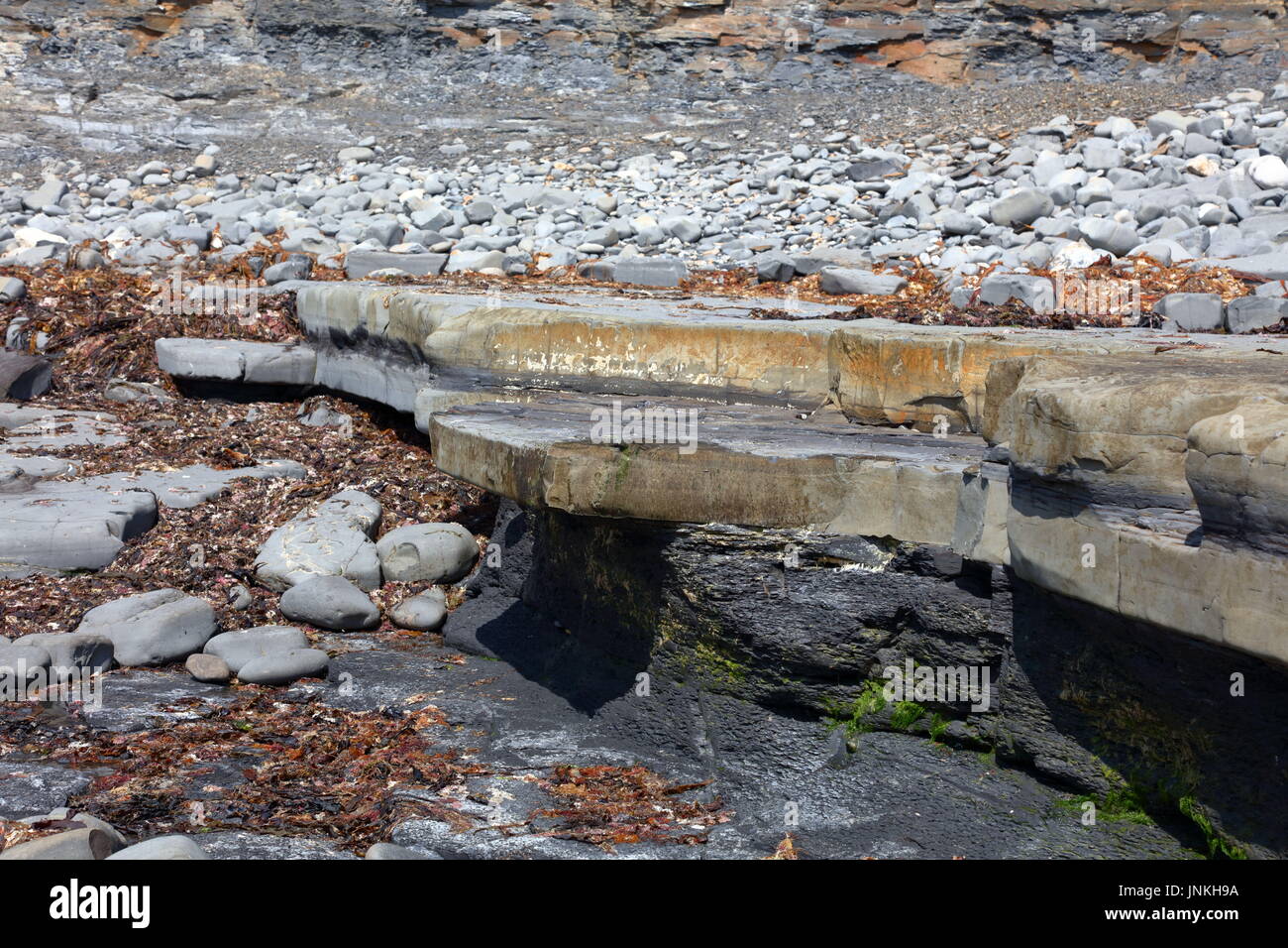 Oil bearing shale cliff face of Jurassic Coast and shoreline at ...