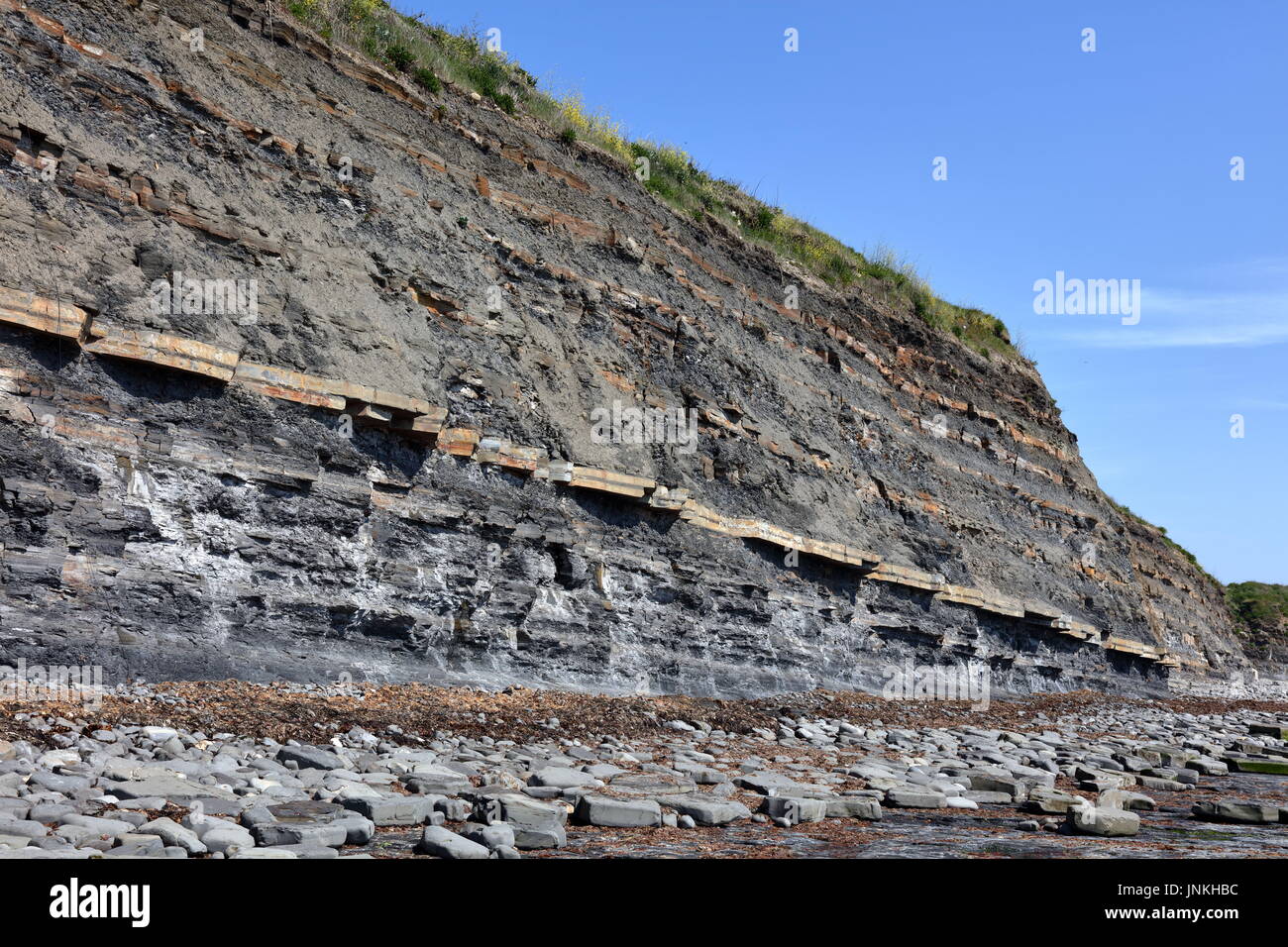 Oil bearing shale cliff face of Jurassic Coast and shoreline at ...