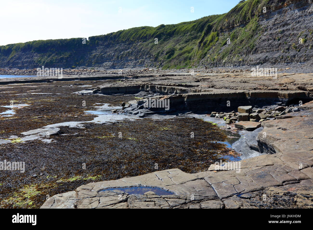Oil bearing shale cliff face of Jurassic Coast and shoreline at ...