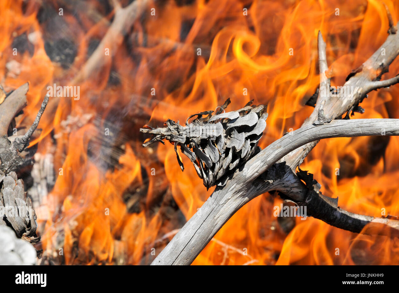 Contain a fire hi-res stock photography and images - Alamy