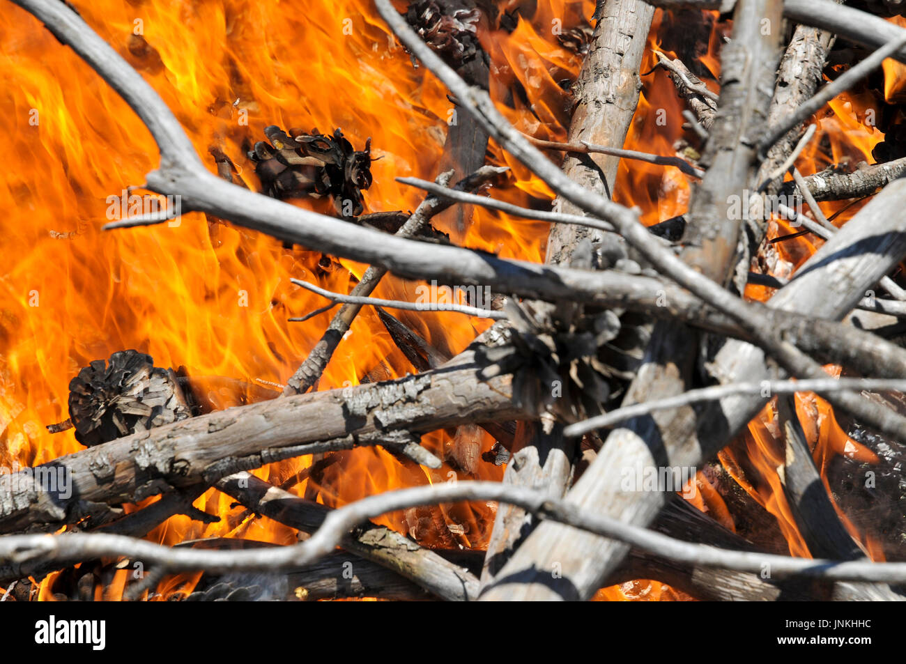 Fire torching hi-res stock photography and images - Alamy