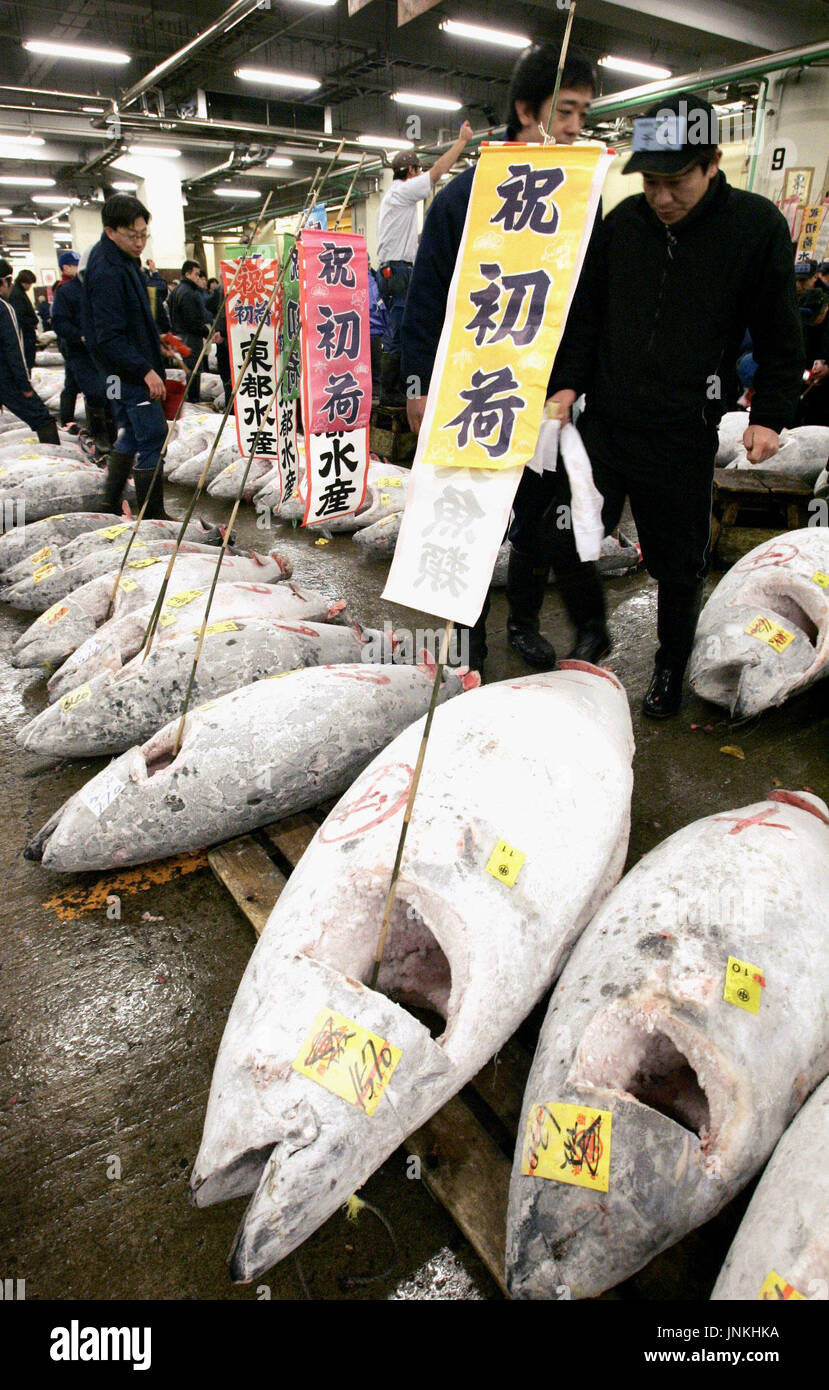 TOKYO, Japan - Tuna sold at the first fish auction of 2005 at Tokyo's ...