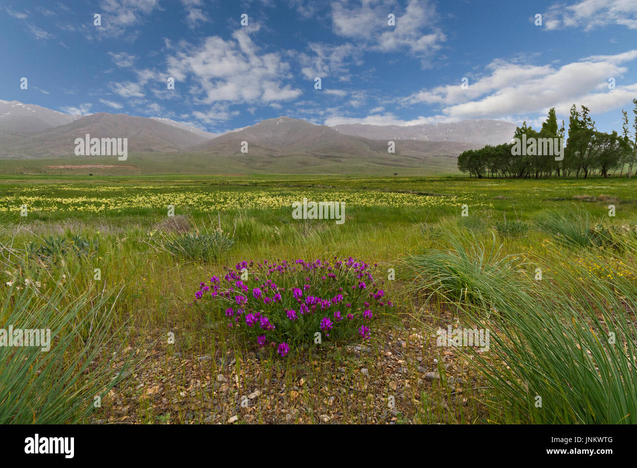 Turkey country hi-res stock photography and images - Alamy