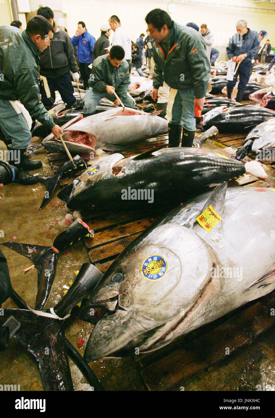 TOKYO, Japan - Brokers check the quality of tuna prior to the start of ...