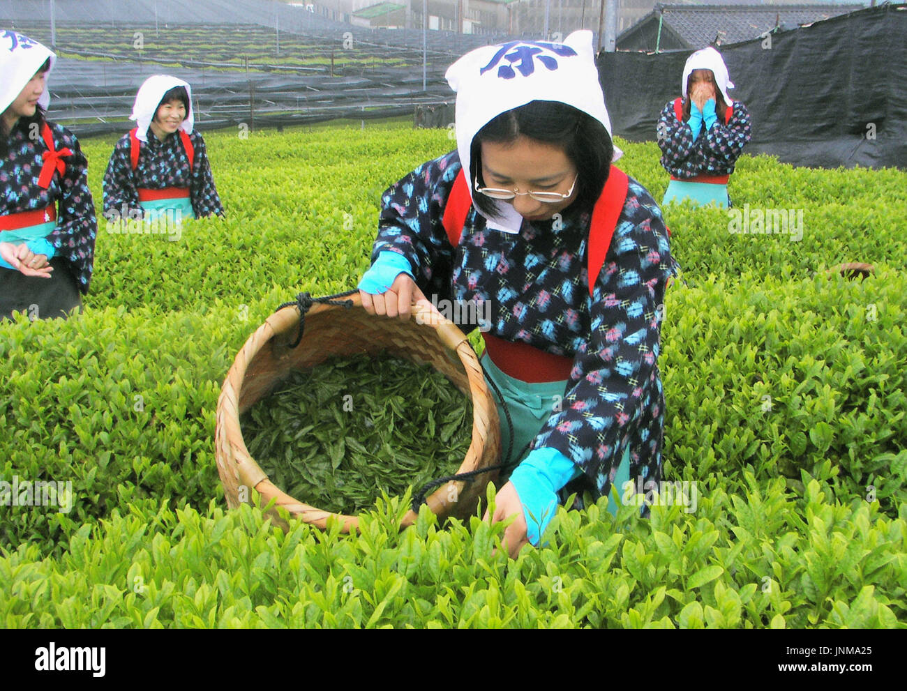 NAGOYA, Japan - Women dressed in traditional tea leaf picker's costume ...