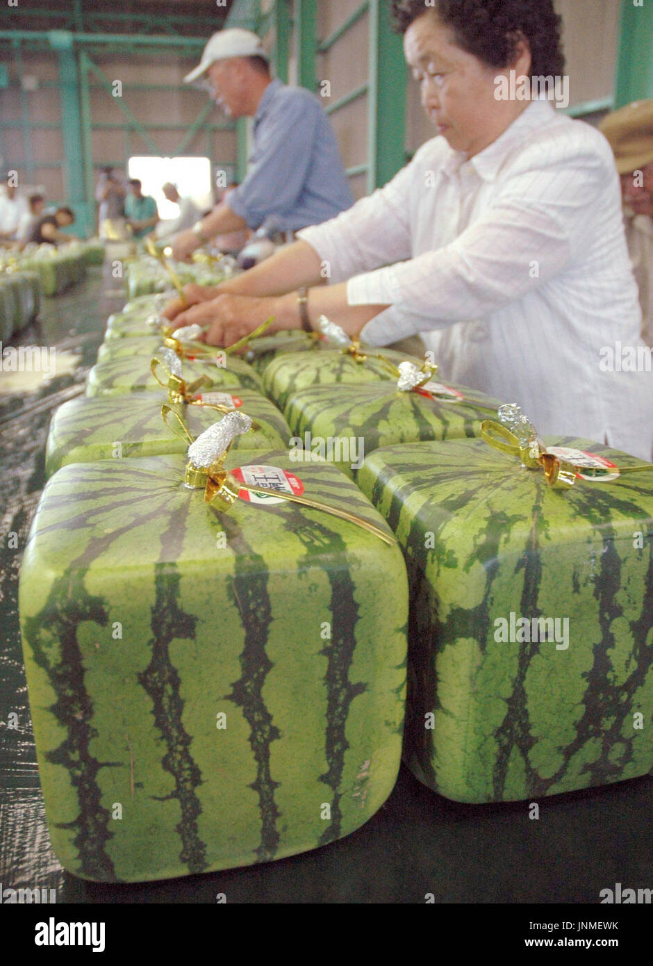 ZENTSUJI, Japan - Farmers begin shipment of square watermelons in ...