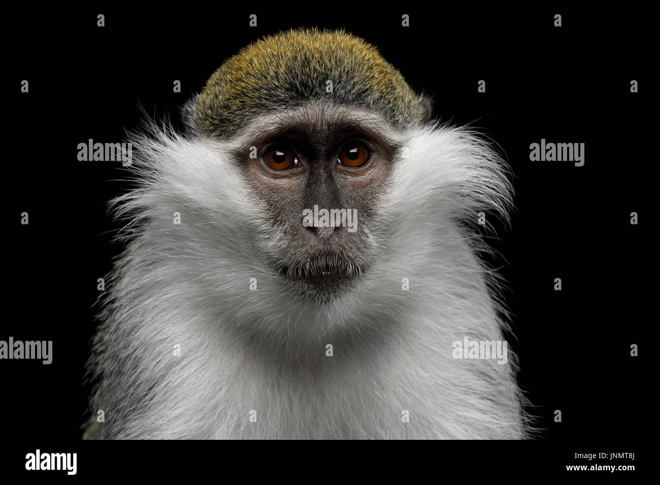 Jnmt8j hi-res stock photography and images - Alamy
