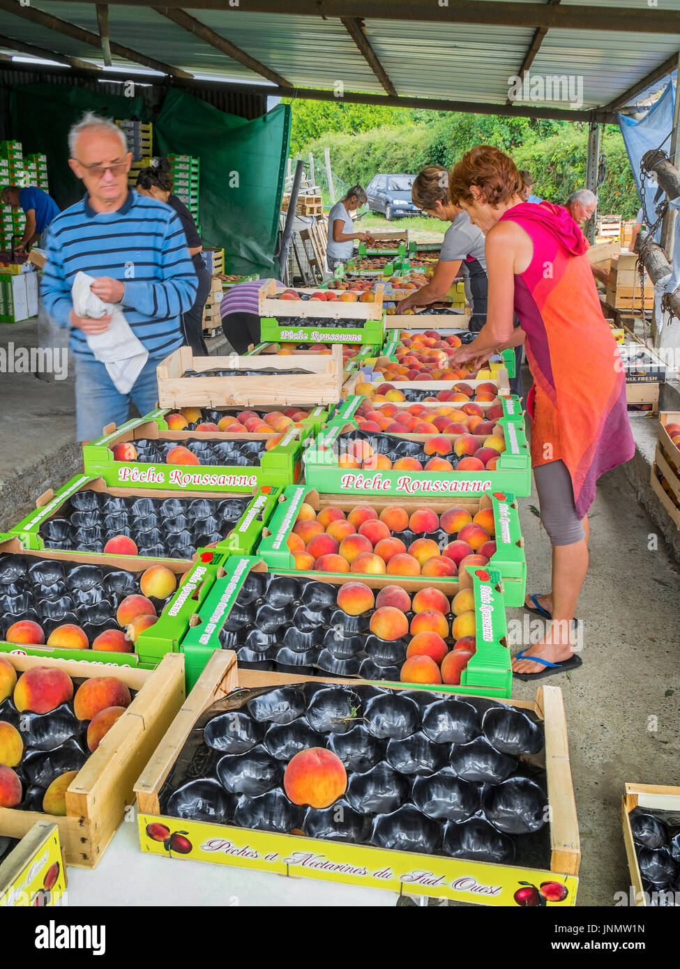Orchard farm hi-res stock photography and images - Alamy
