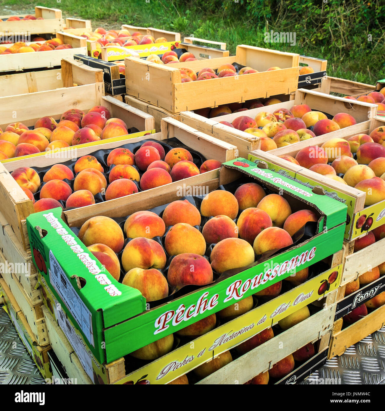 Peach boxes hi-res stock photography and images - Alamy