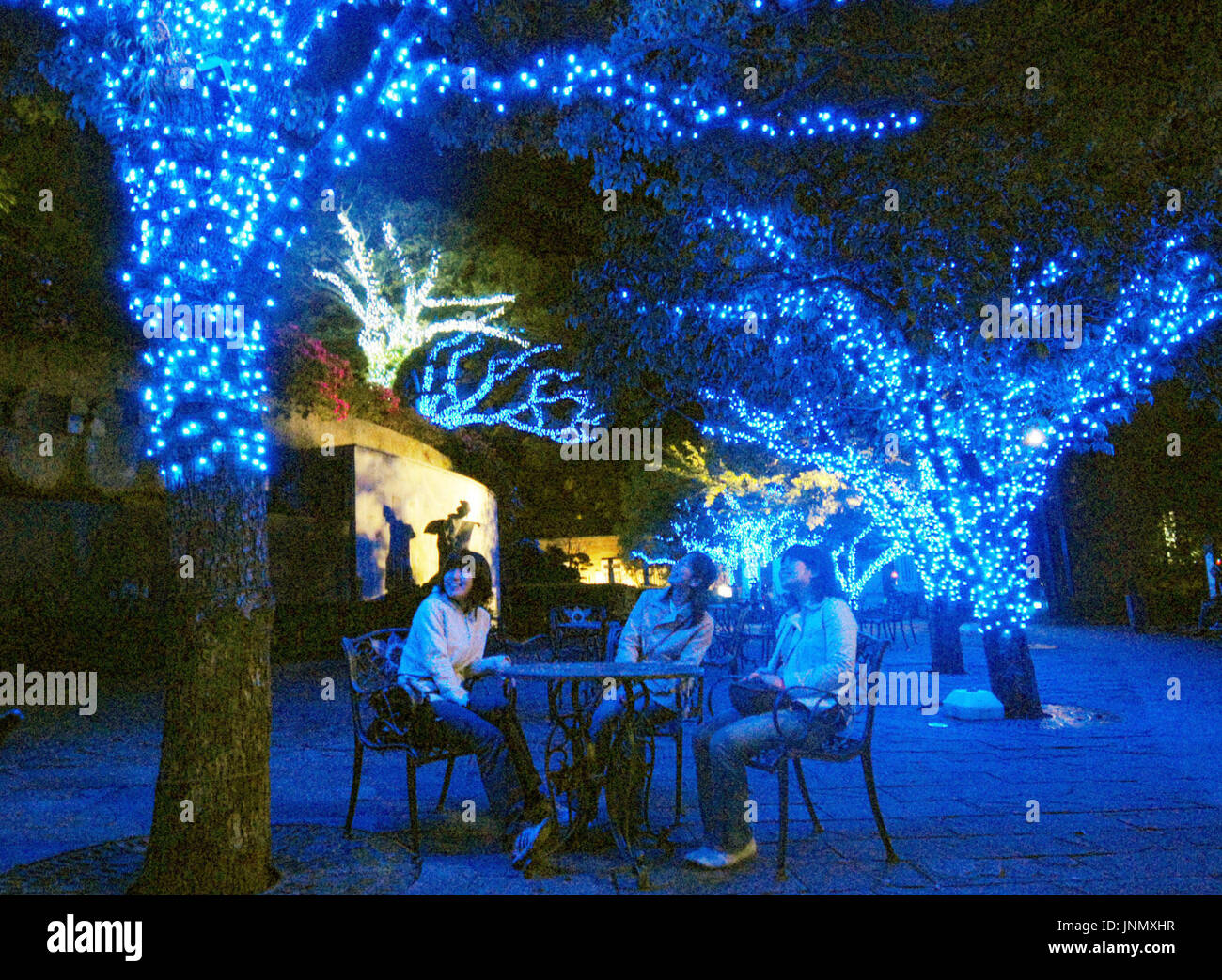 NAGASAKI, Japan - Trees at the Glover Garden, a famous tourist spot in ...