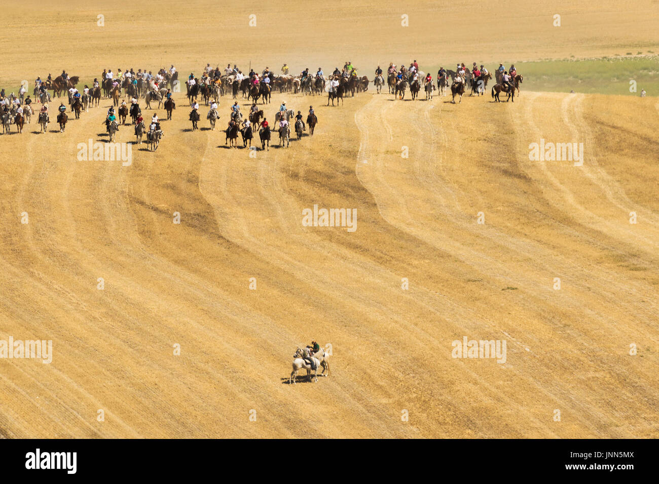 Transhumance migration hi-res stock photography and images - Alamy