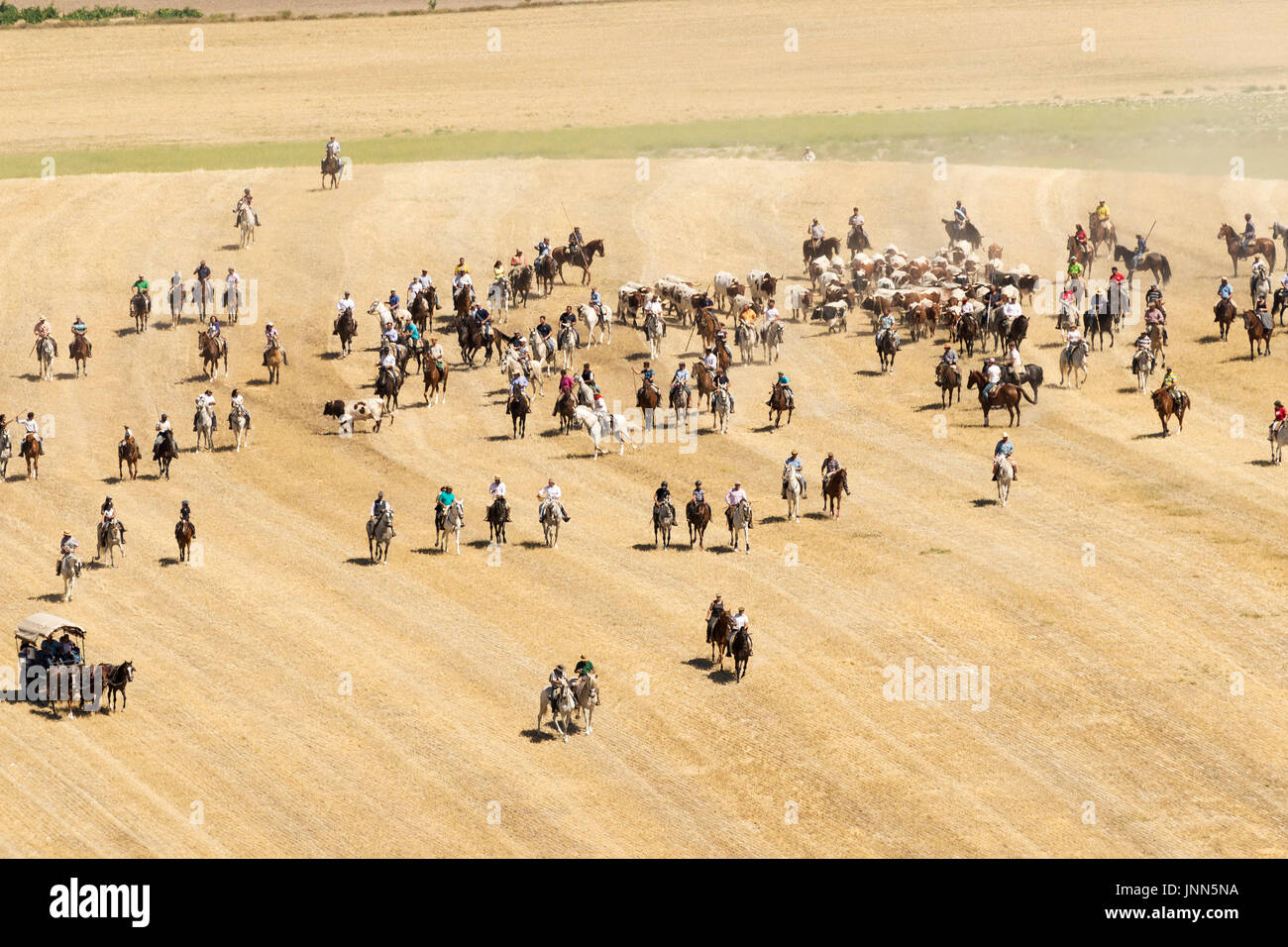 Transhumance migration hi-res stock photography and images - Alamy
