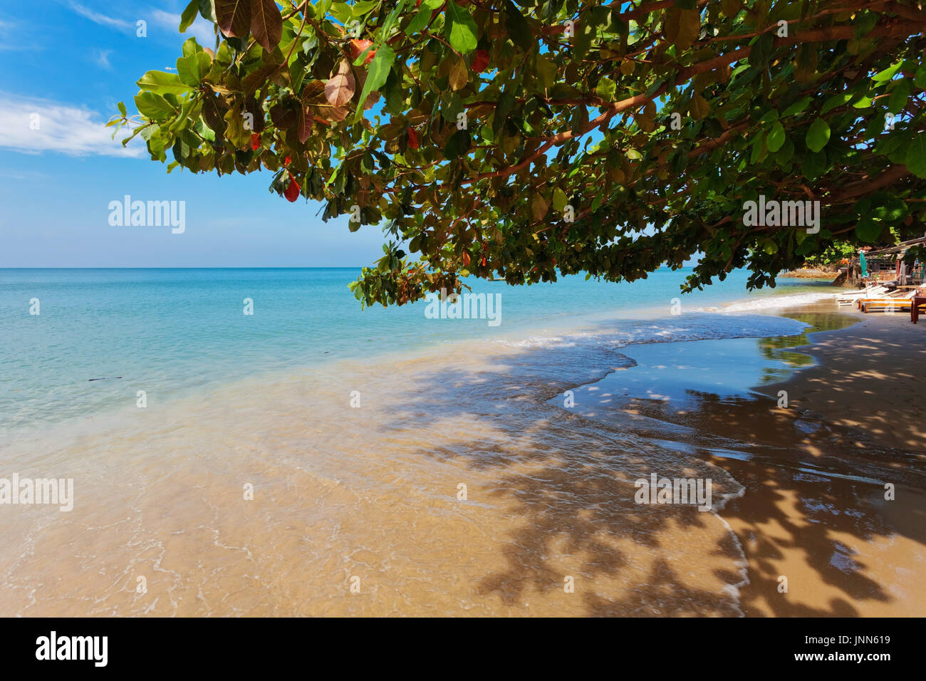 Beautiful tropical beach with sea view, clean water & blue sky. Nature ...